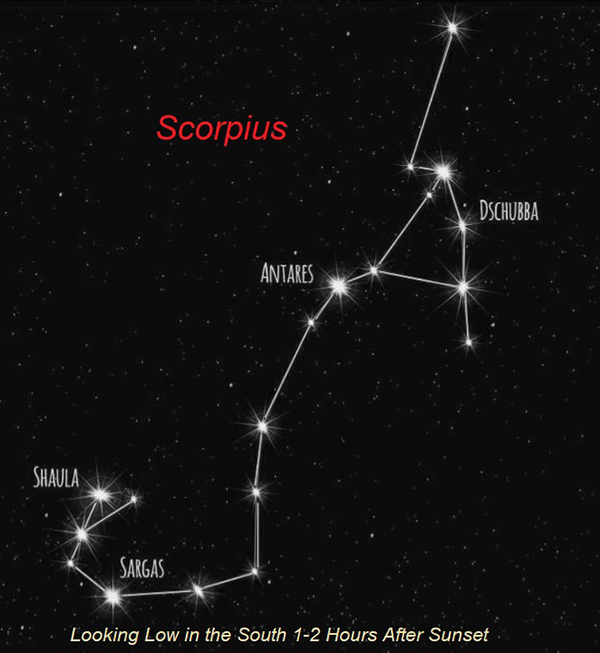 Antares Star Scorpius